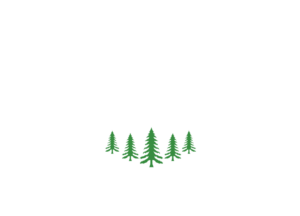 Top Notch Tree Service | Tree Removal Company
